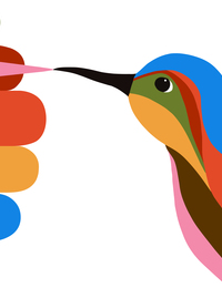 Book Online | Colin Phipps, DC